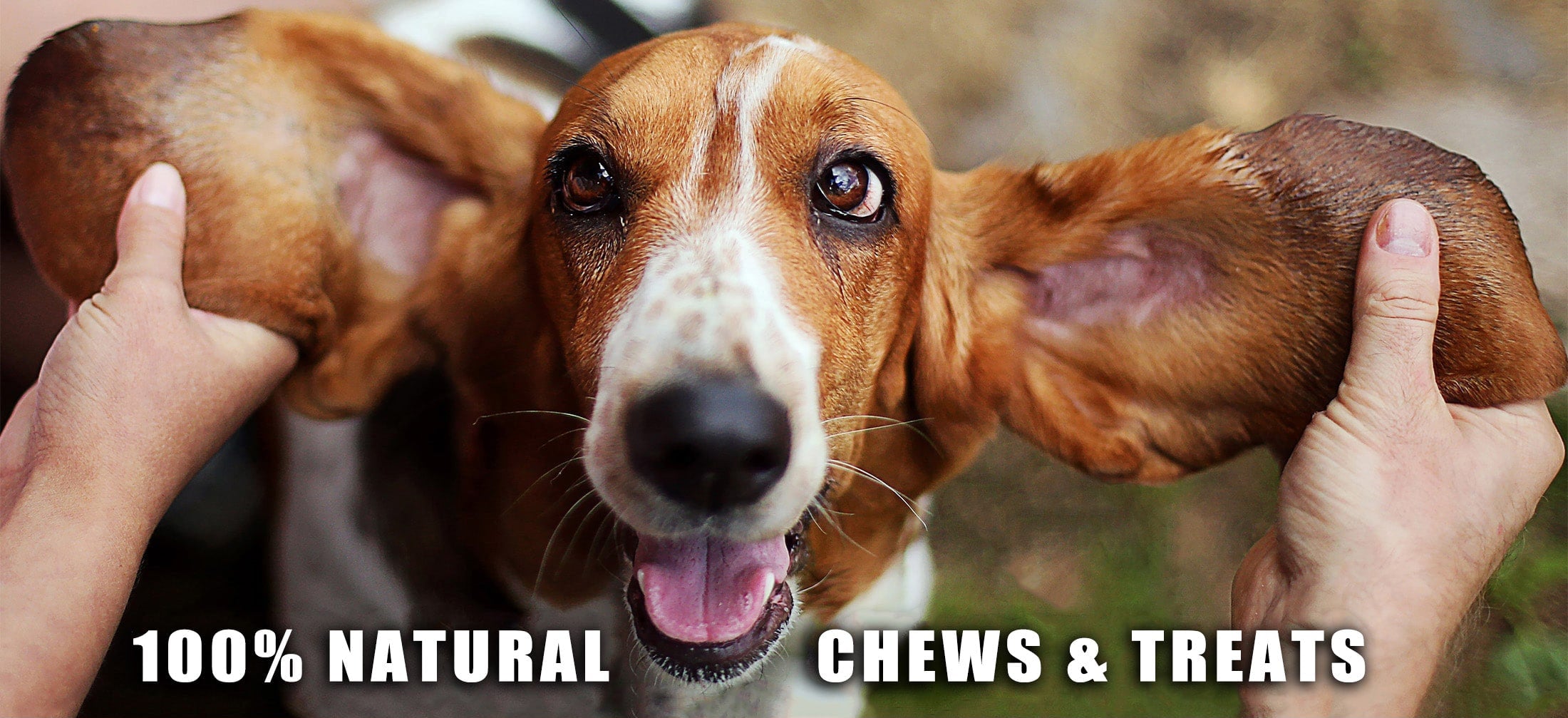 Natural Chews and Training Treats for Dogs | Floppy Ear