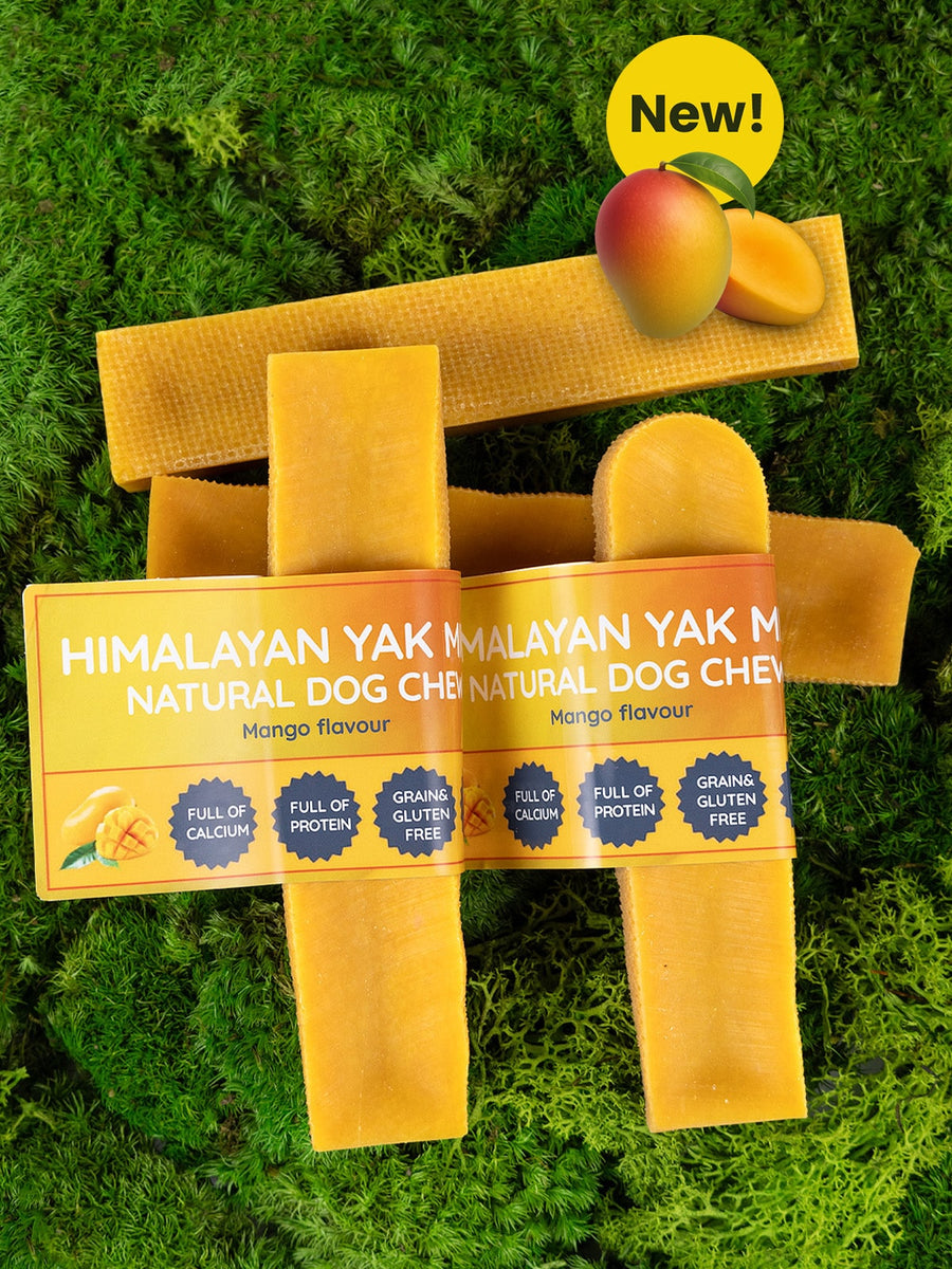 Natural Mango Yak Dog Chews – Long-Lasting Himalayan Treat for Dogs ...